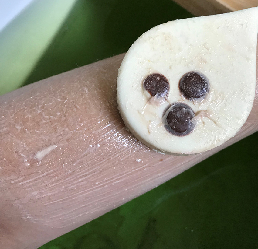 Review: Lush Coco Loco Shower Oil - Oh My Lush.com